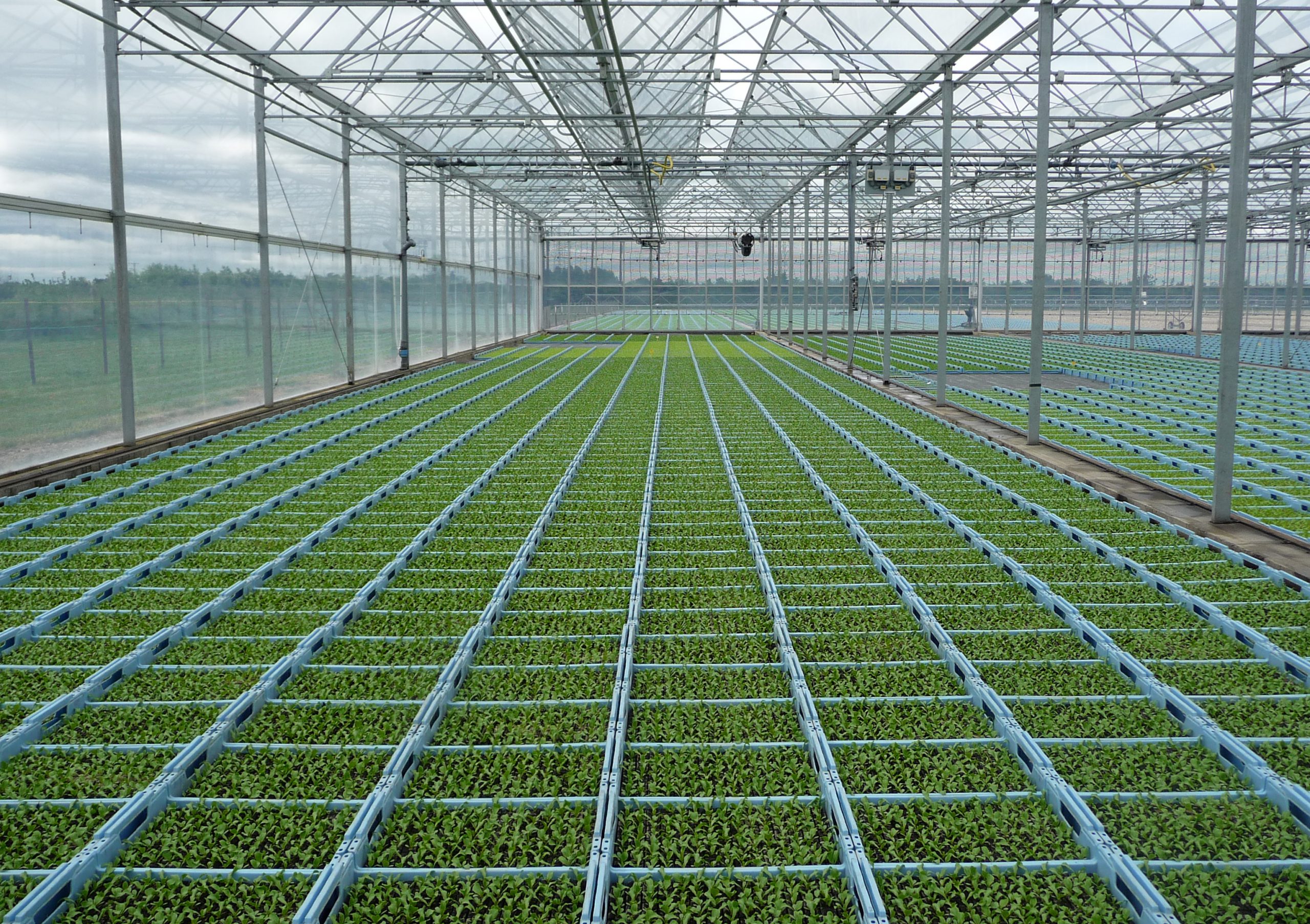 G’s GROWERS NURSERIES LTD - G's Growers